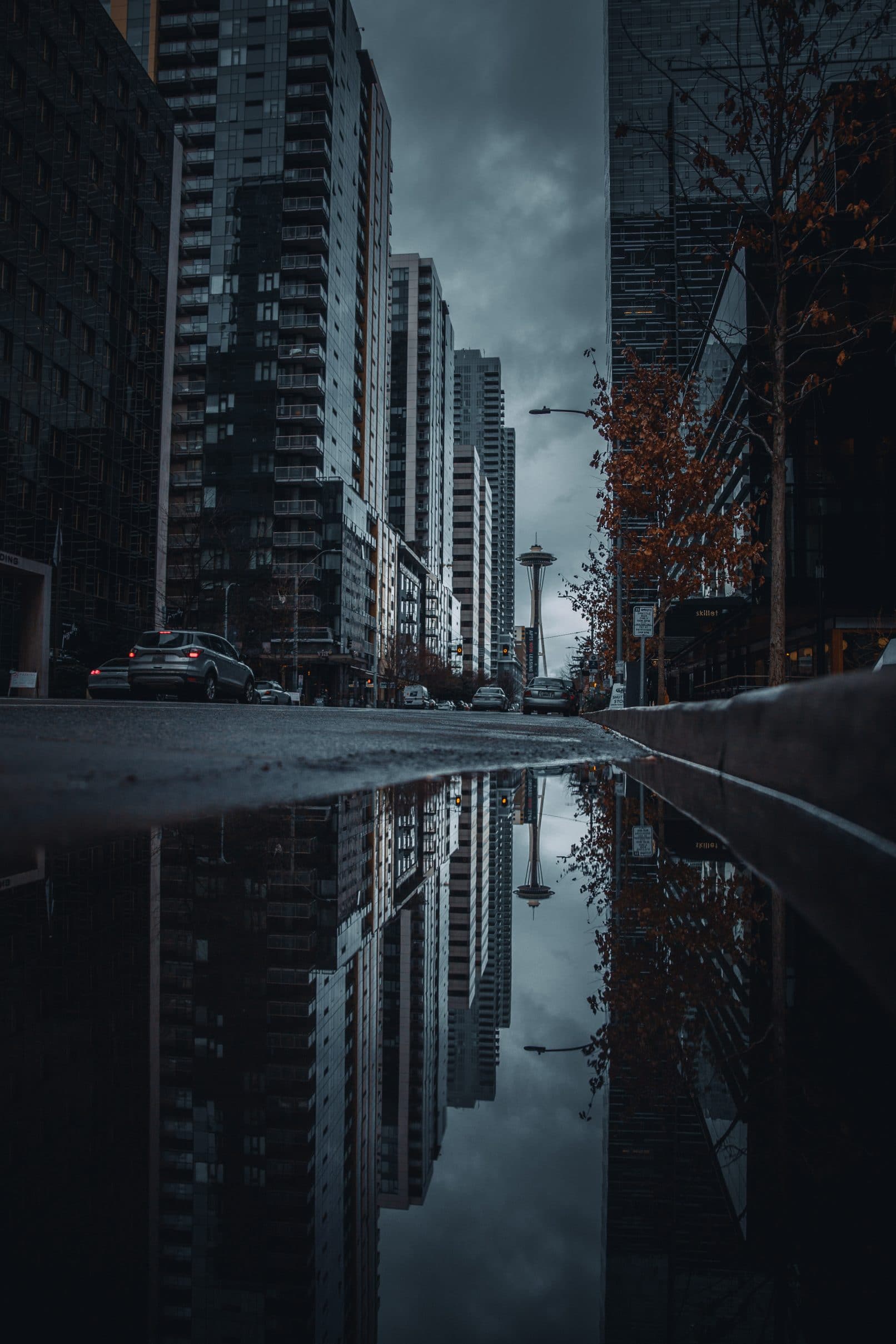Photography in Bad Weather | Erick Ramirez Photography